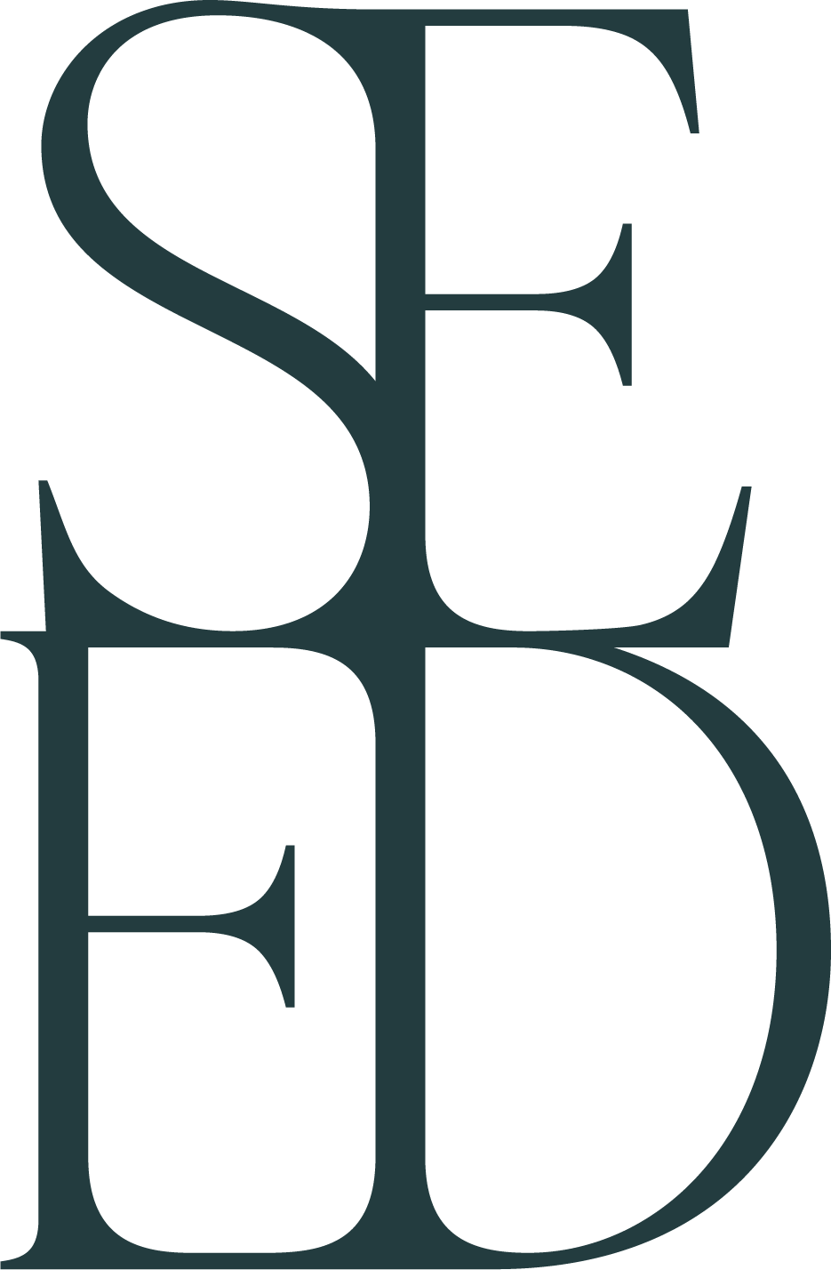 SEED - Contacteer ons!